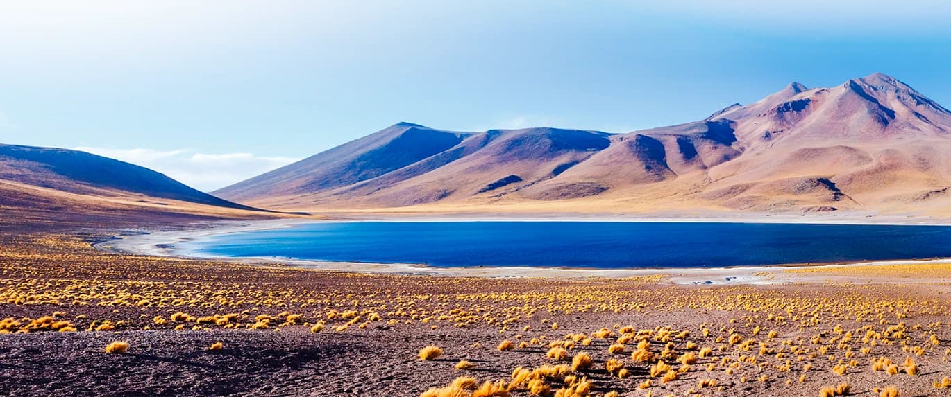 Buses Jet Sur| Sitio Oficial | Compra tus pasajes online